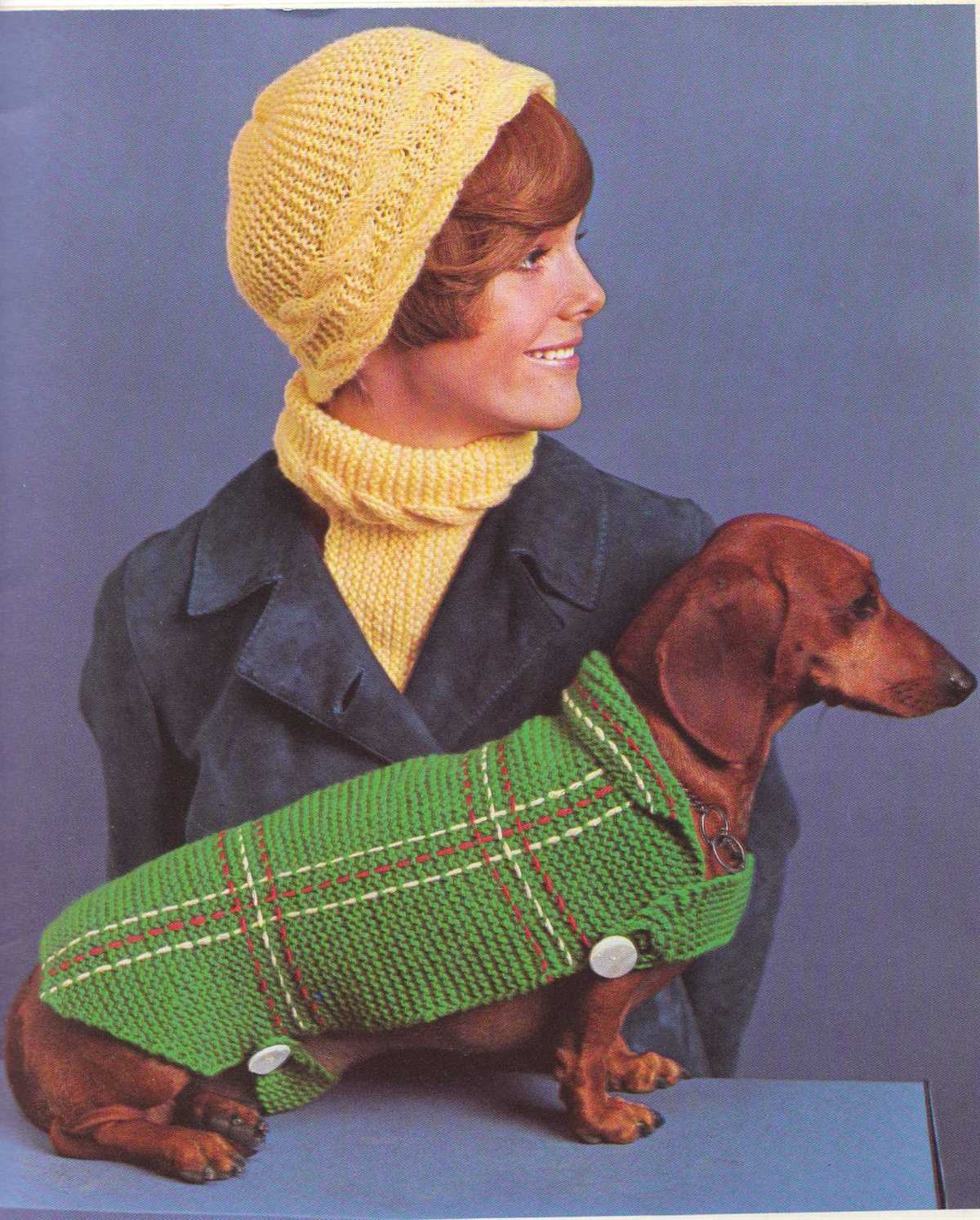 Free knitting pattern for a dachshund
