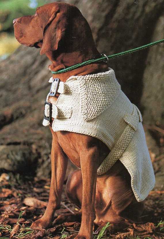Cozy canine comfort: Knit a free dog blanket