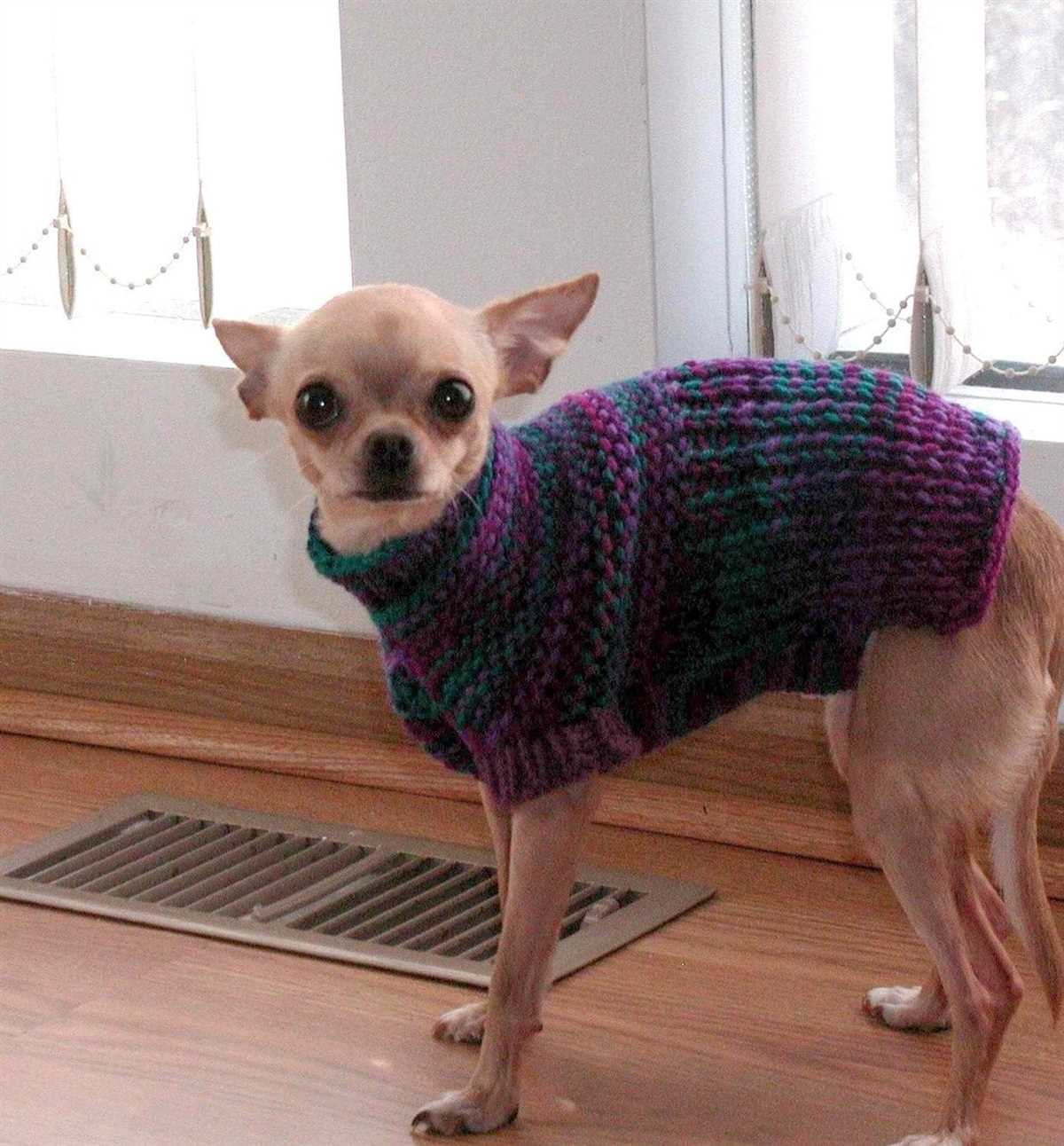 Simple and Free Knitting Pattern for a Dog Jumper