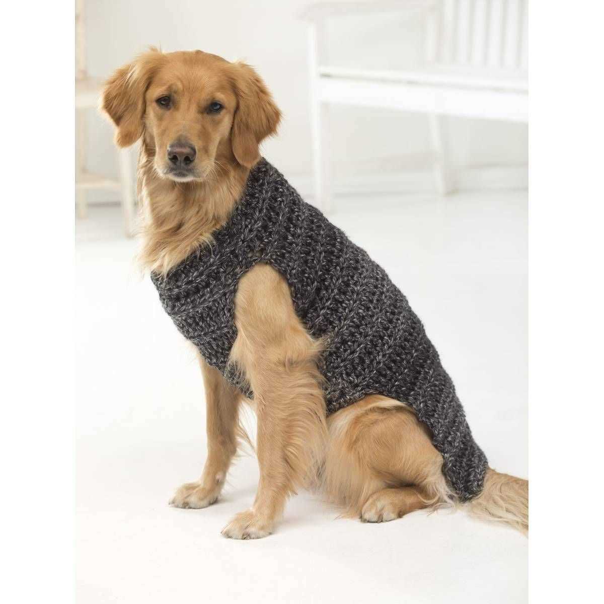 Cozy Knitting Patterns for Your Big Pup: Free Sweater Designs