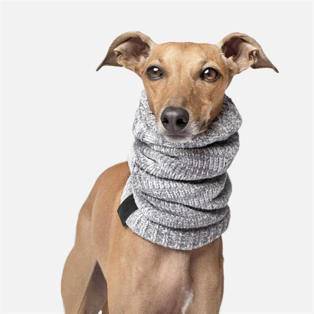 Stylish DIY Dog Scarf: Knit Pattern for Furry Friends