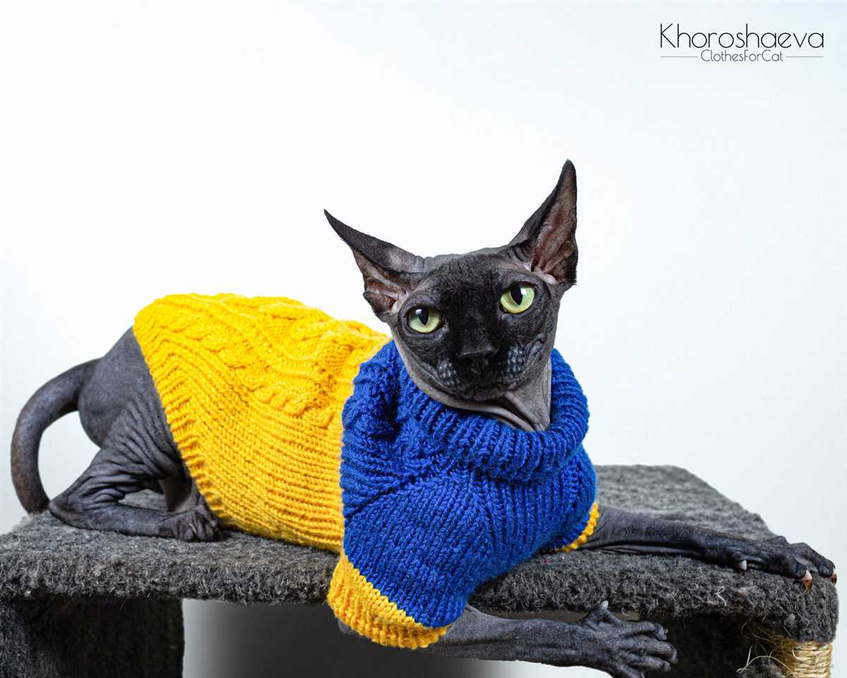 Cozy and Stylish: Knit Your Own Cat Sweater with This Unique Pattern