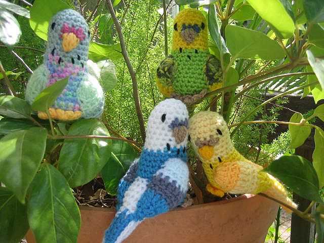 Budget-Friendly Budgie Knitting Designs