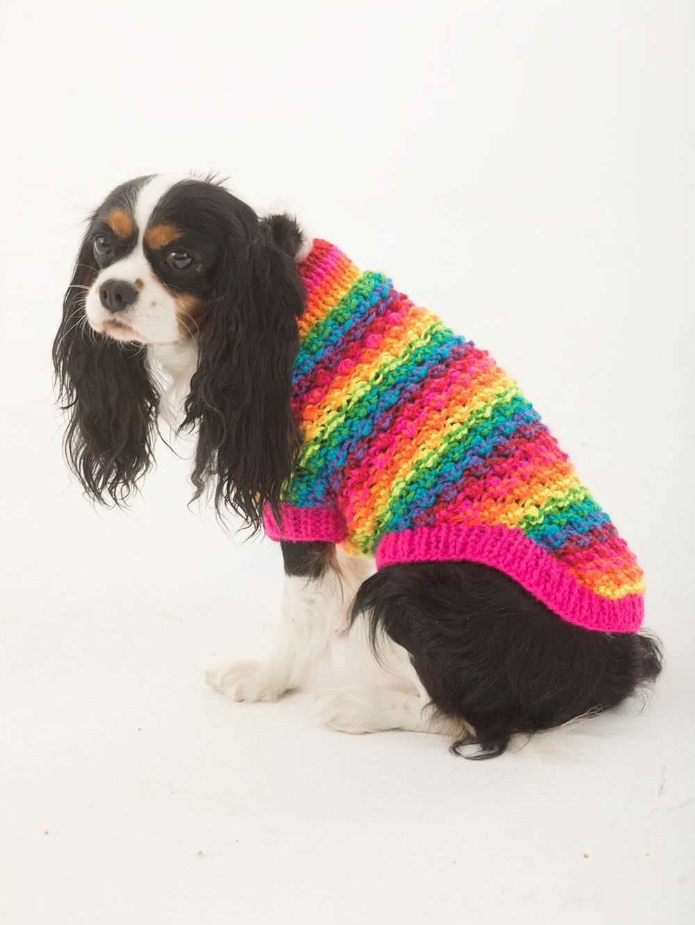 Free knitting patterns for small dog sweaters