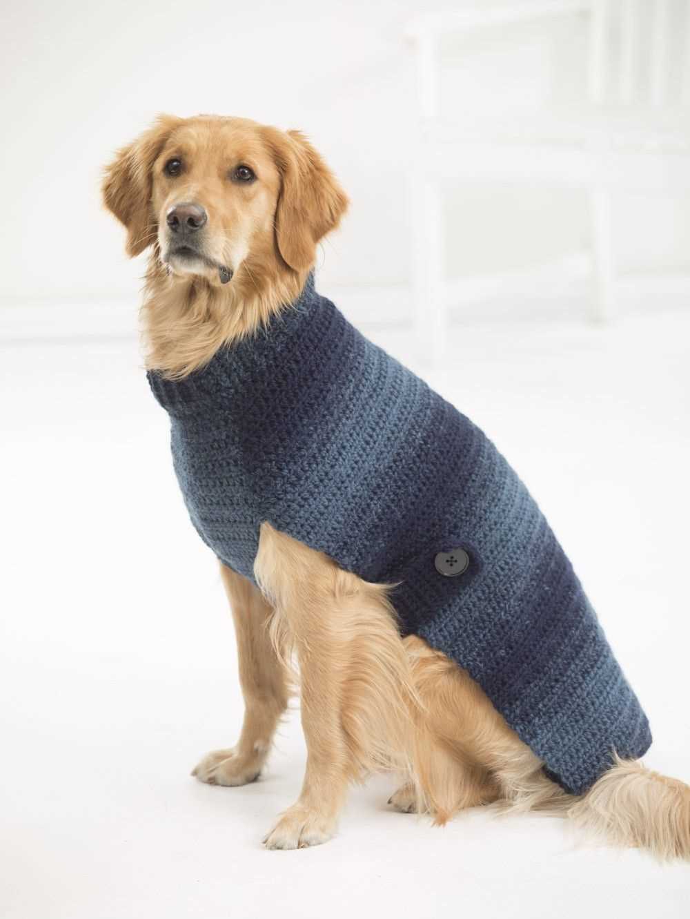 Cozy Knitting Patterns for Your Big Pup: Free Sweater Designs