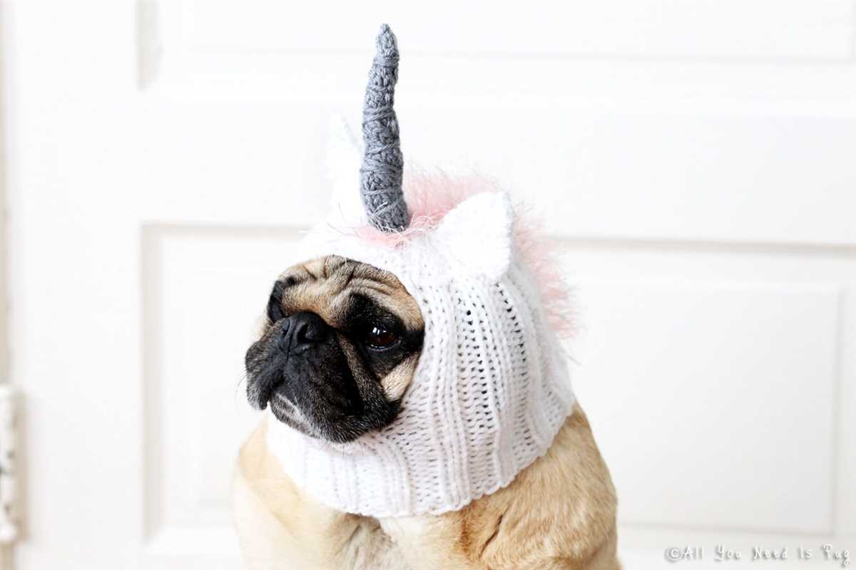 Funky Knitwear: Create a Stylish French Bulldog Hat with this Pattern