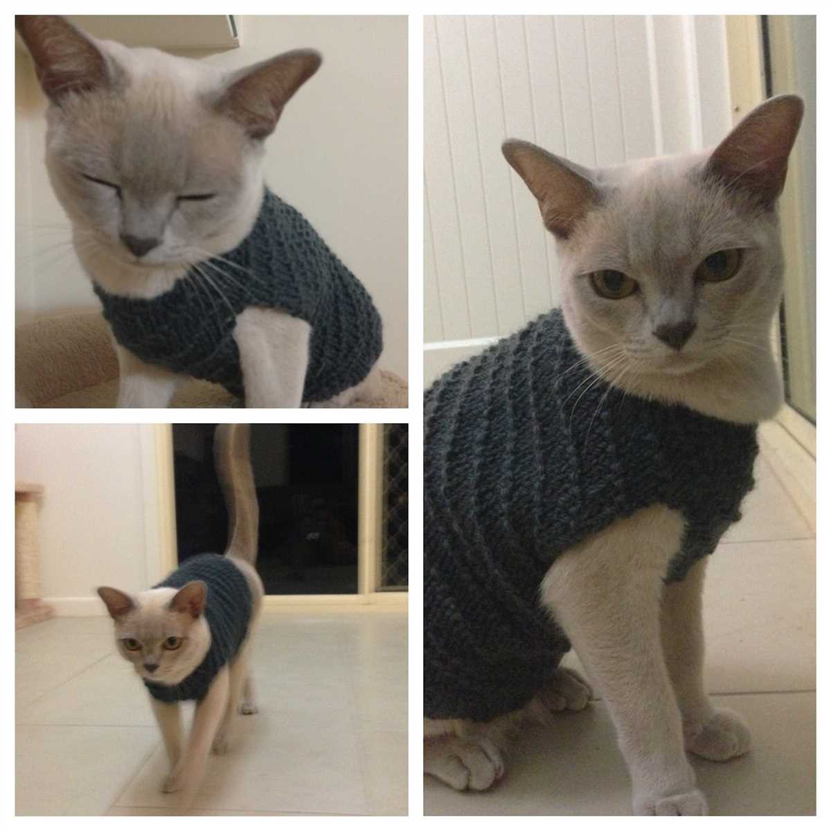 Craft the perfect cat sweater with this knit pattern