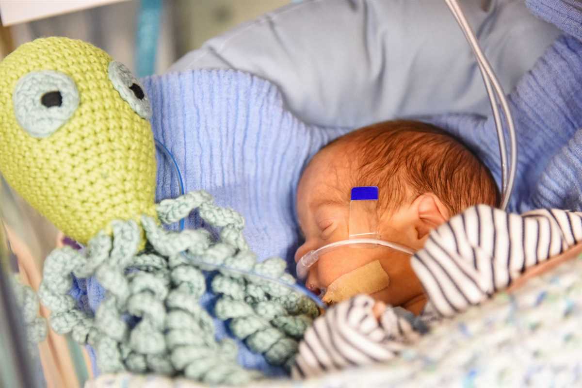 Knit Your Own Cute Octopus with This Nicu Octopus Knitting Pattern