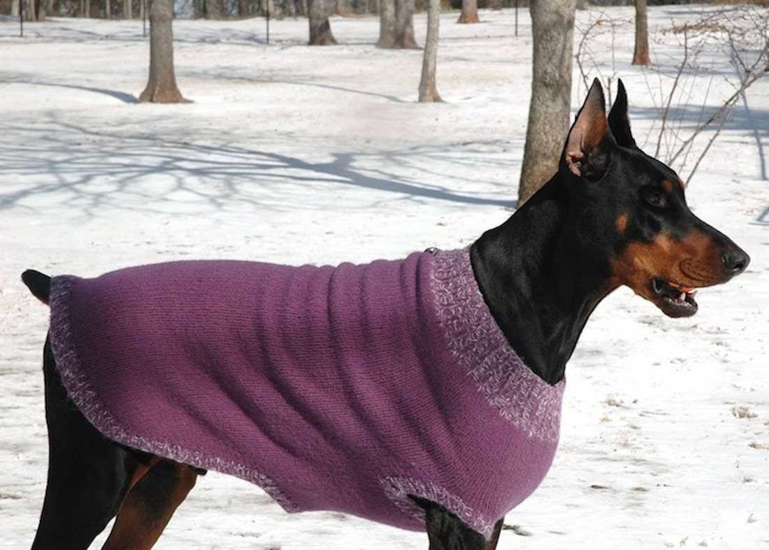 Cozy Knitwear for Your Pitbull: Unique Sweater Patterns
