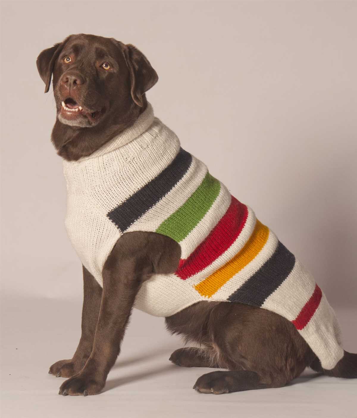 Cozy Knitwear for Your Pitbull: Unique Sweater Patterns