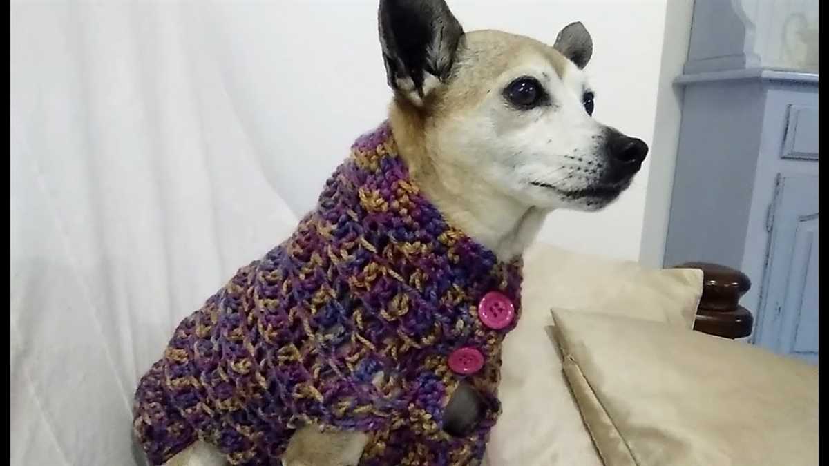 Cozy Knitwear for Your Pitbull: Unique Sweater Patterns