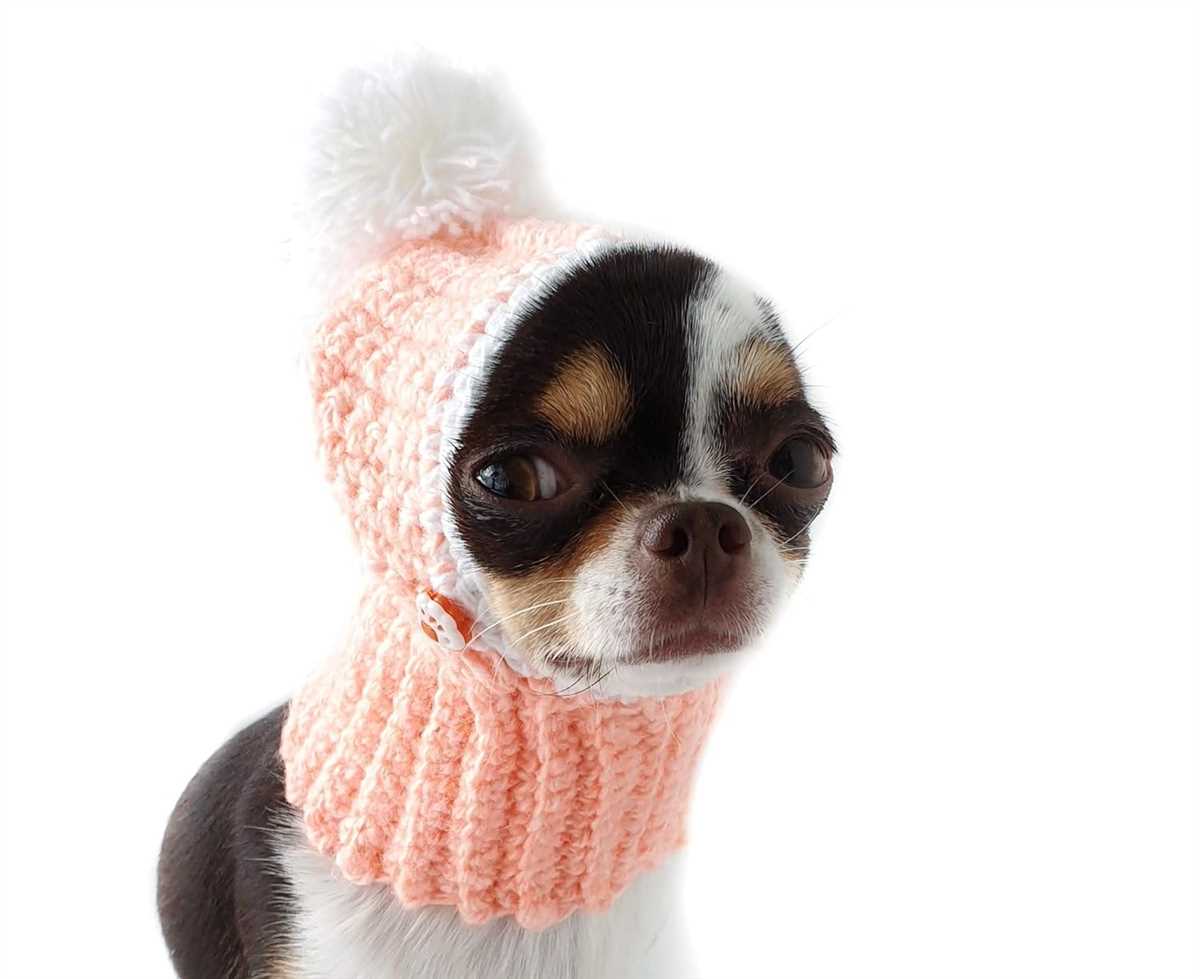 Funky Knitwear: Create a Stylish French Bulldog Hat with this Pattern
