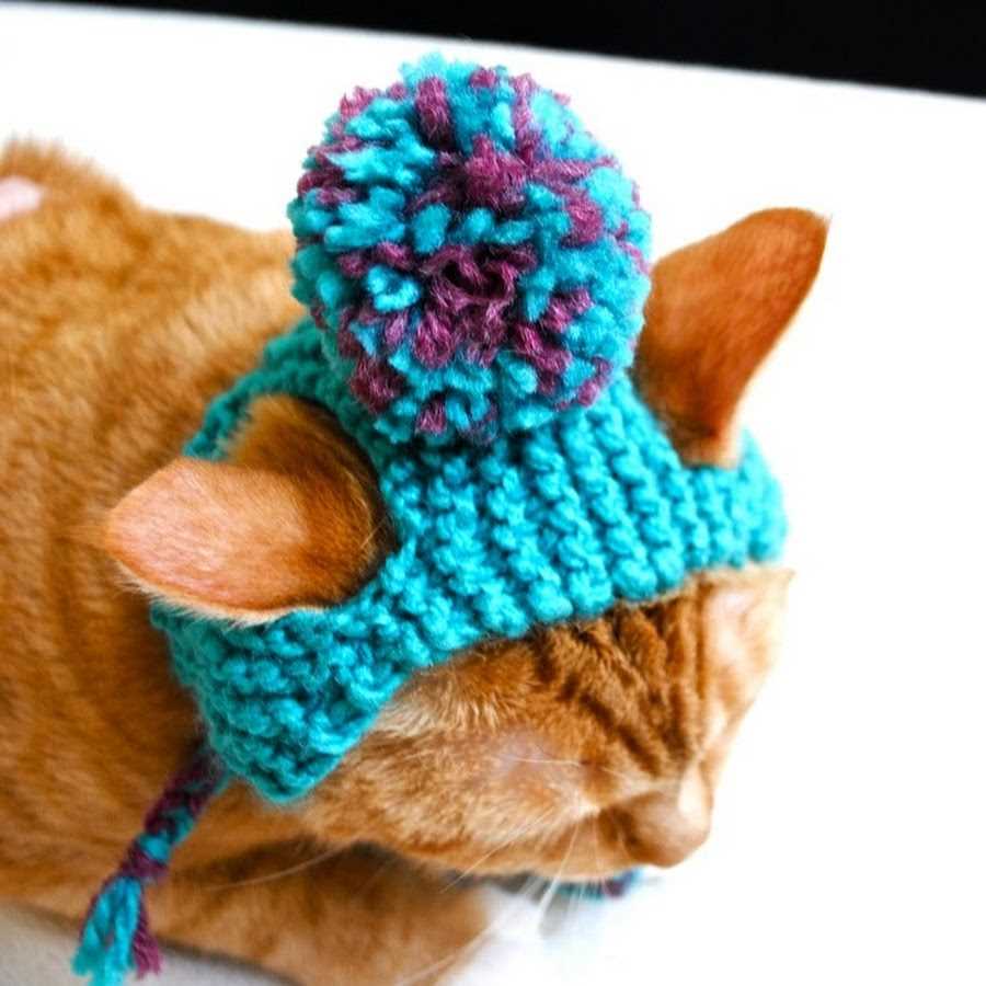 Cozy and Stylish: Knitting Patterns for Feline Hats