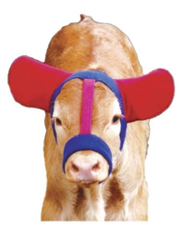 Knit your own calf ear muffs with this easy pattern